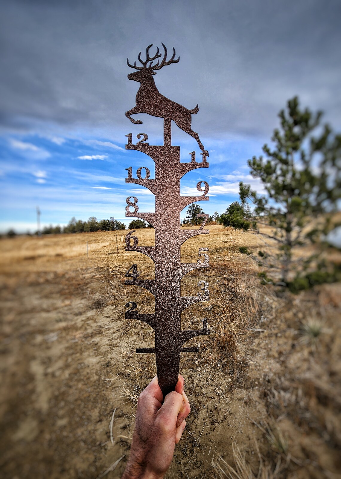 Reindeer Snow Gauge / Snow Ruler / Snow Stake / Snow Depth Gauge ...