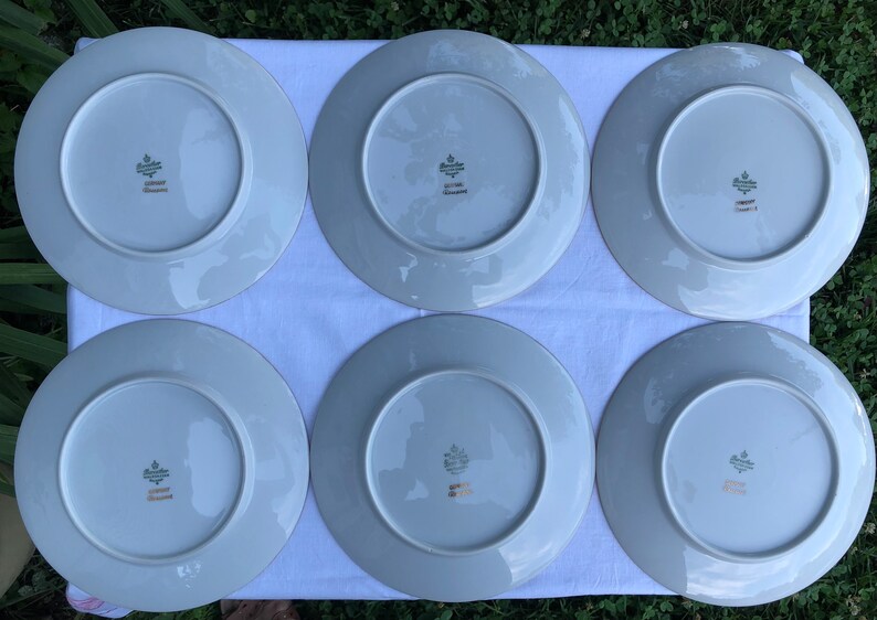 Vintage Assorted Fruit/dessert/salad Plates China Pattern - Set of 6 ...