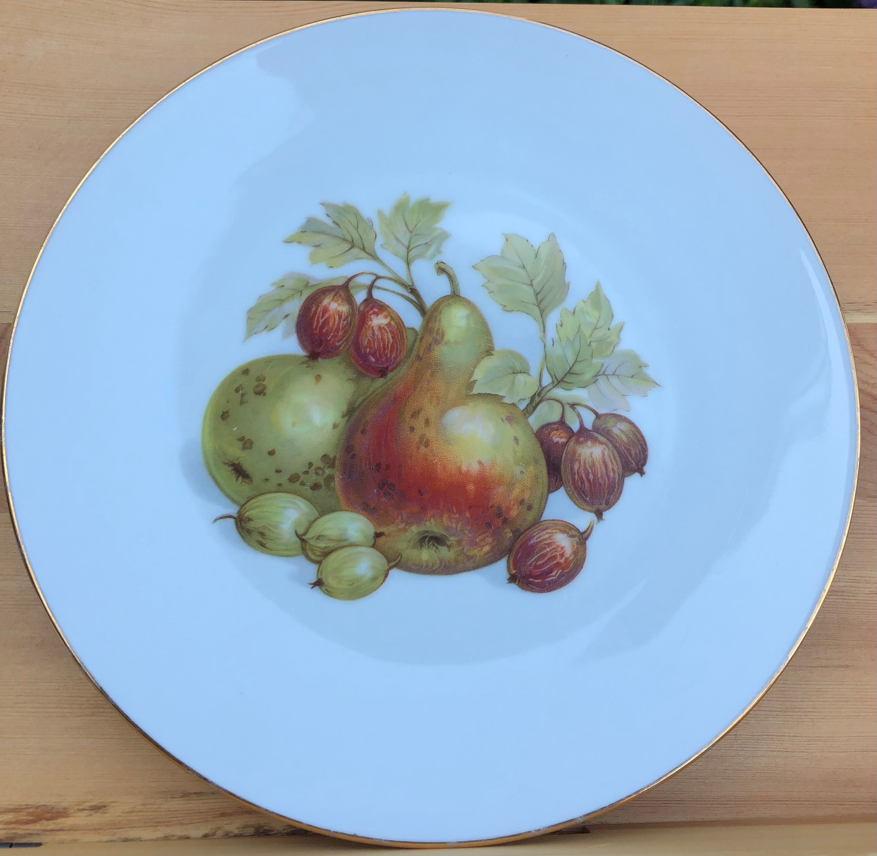 Vintage Assorted Fruit/dessert/salad Plates China Pattern - Set of 6 ...