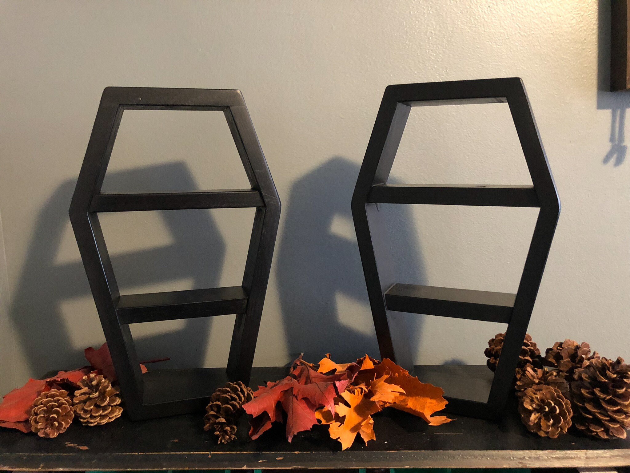 Coffin Wall Shelf Coffin Display Shelf Collectible Shelving | Etsy