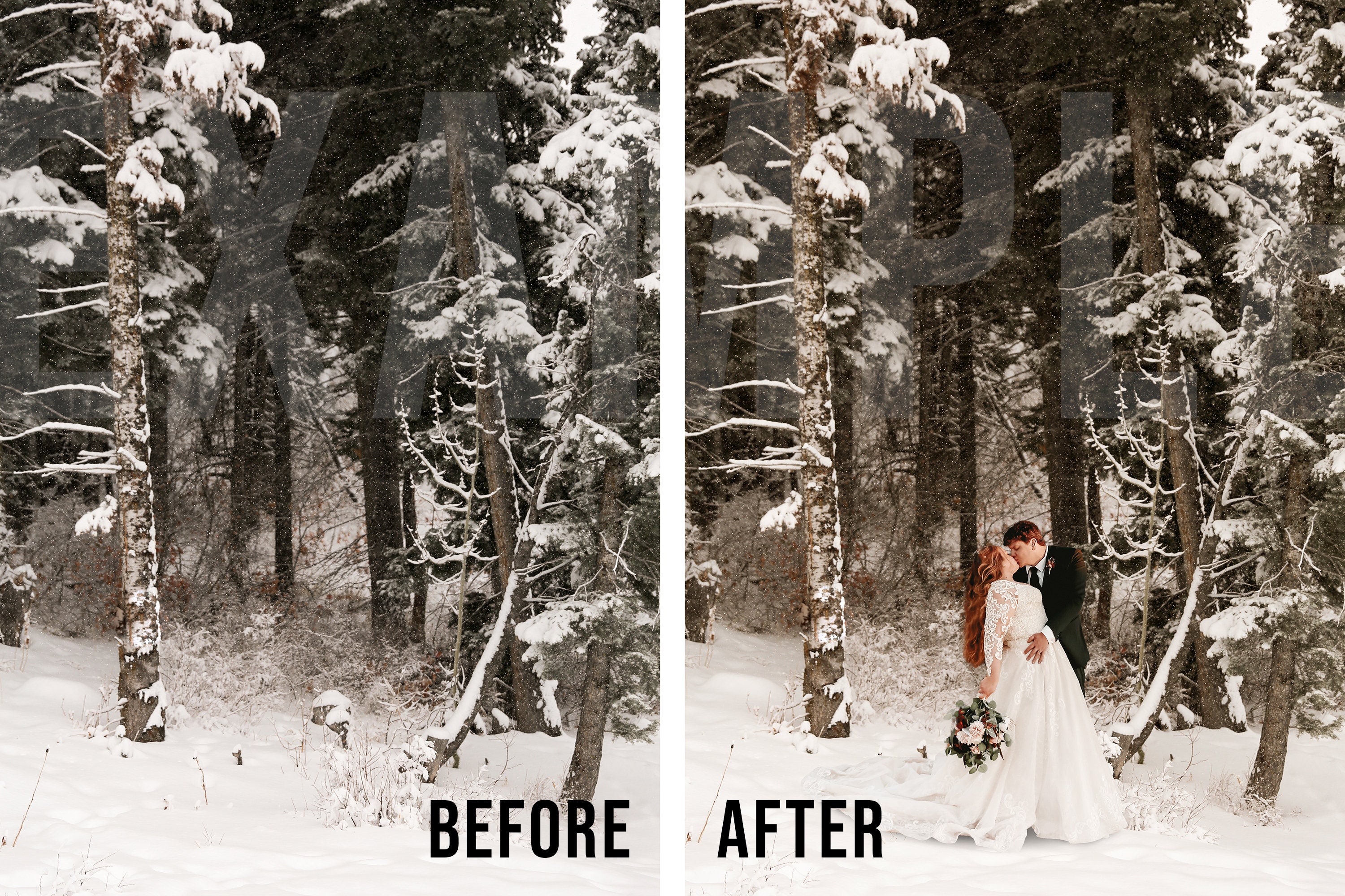 15 Snowy Branches Digital Backgrounds Winter Photography Backdrops Snow ...