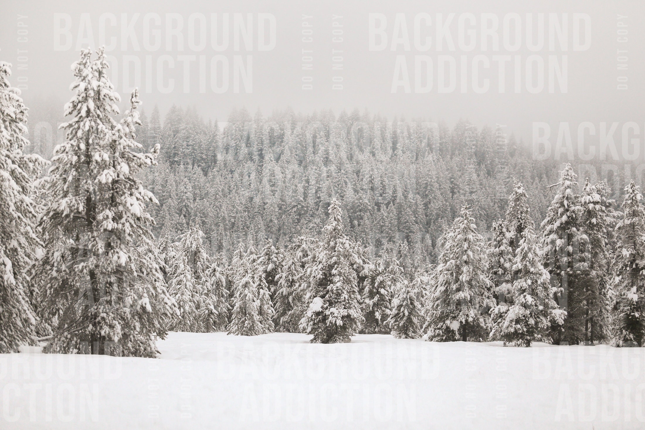 12 Snowy Mountain Digital Backgrounds - Winter Photography Backdrops ...