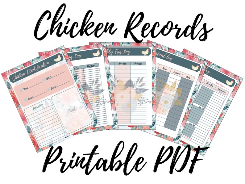 Chicken Records for the Homestead Printable PDF - Etsy