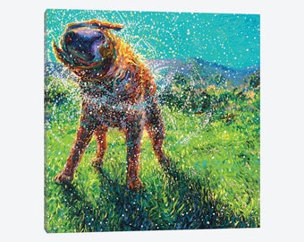 Rainbow Rain Marc Allante Canvas Wall Art Two Step | Etsy