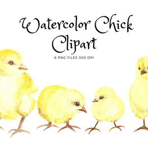 Watercolor Chick Clipart Easter Chick, 8 PNG Instant Download ...