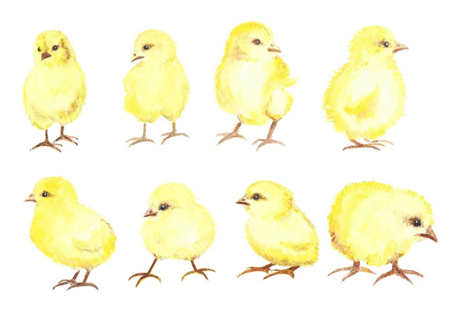 Watercolor Chick Clipart Easter Chick, 8 PNG Instant Download ...
