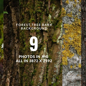 Set of Forest Backdrops Tree Bark Digital Photo Backgrounds - Etsy