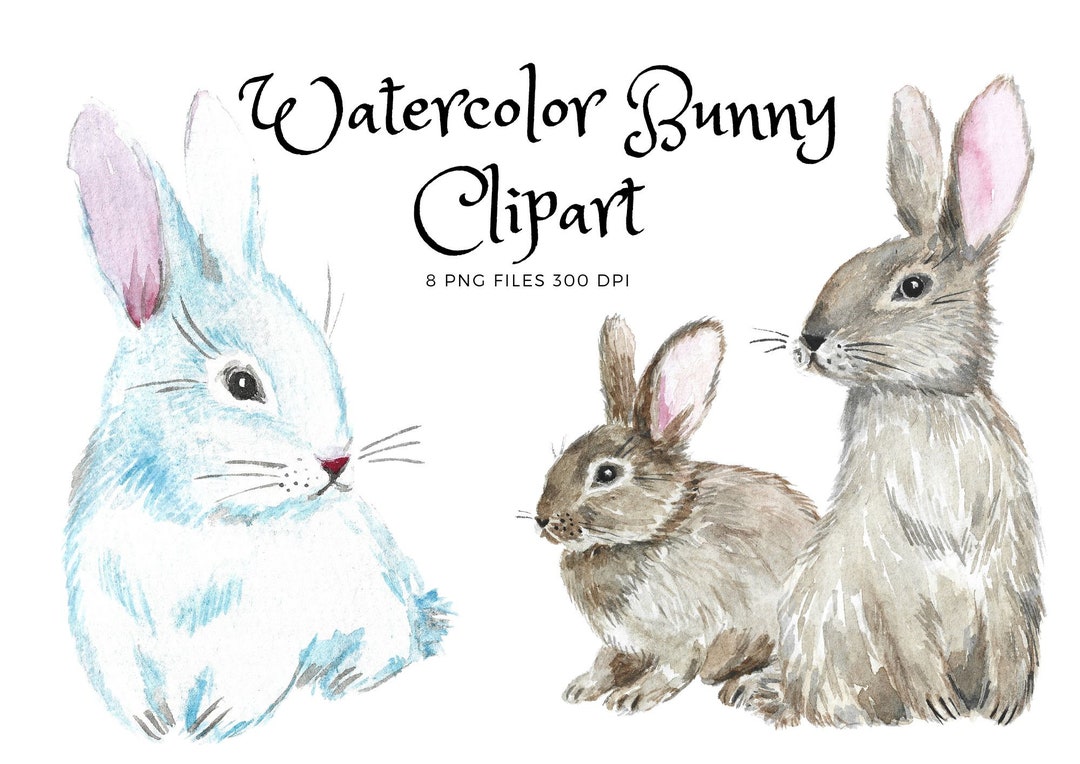 Watercolor Bunny Clipart Easter Bunny 8 PNG Instant - Etsy