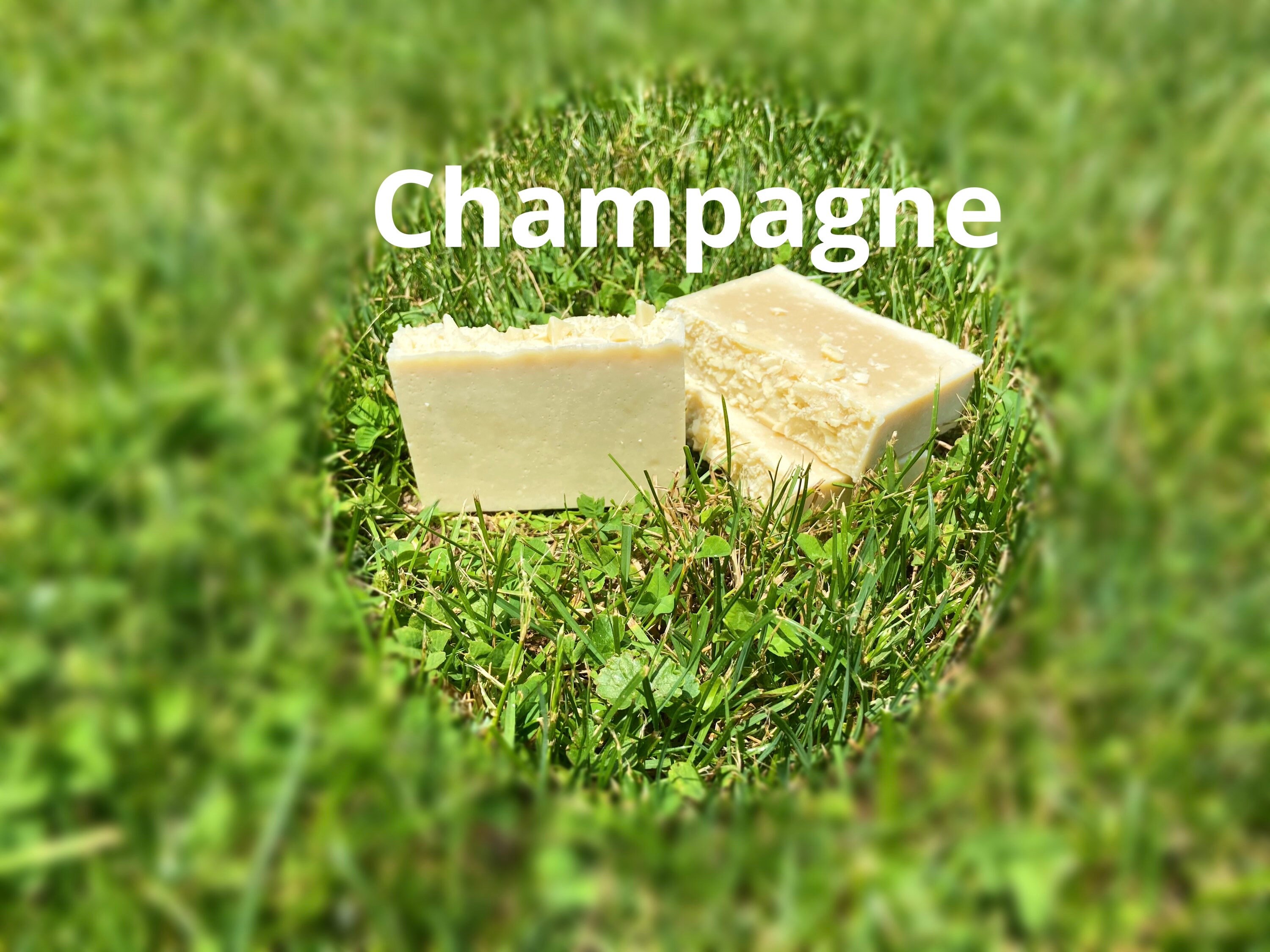 Champagne Goat Soap Bar | Etsy