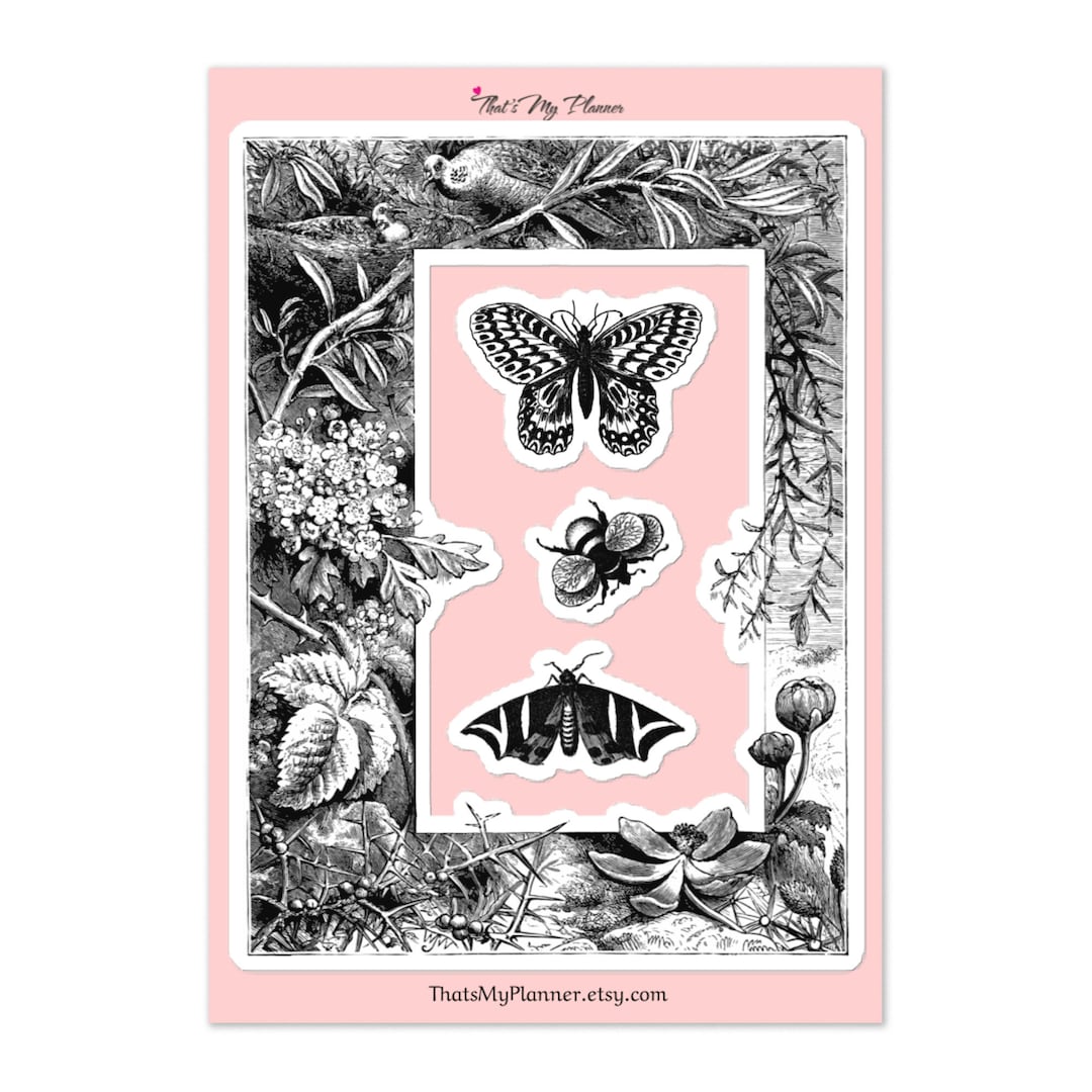 Romantic Garden Border Sticker Sheet - Etsy