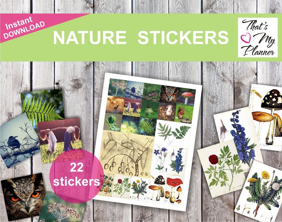 Printable Stickers - Wicca Green Witch Pagan Nature - Midori Filofax ...