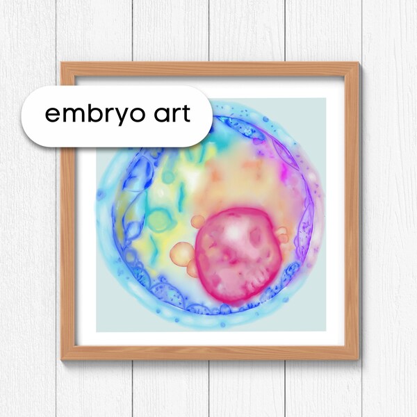 Embryo Drawing Custom - Etsy