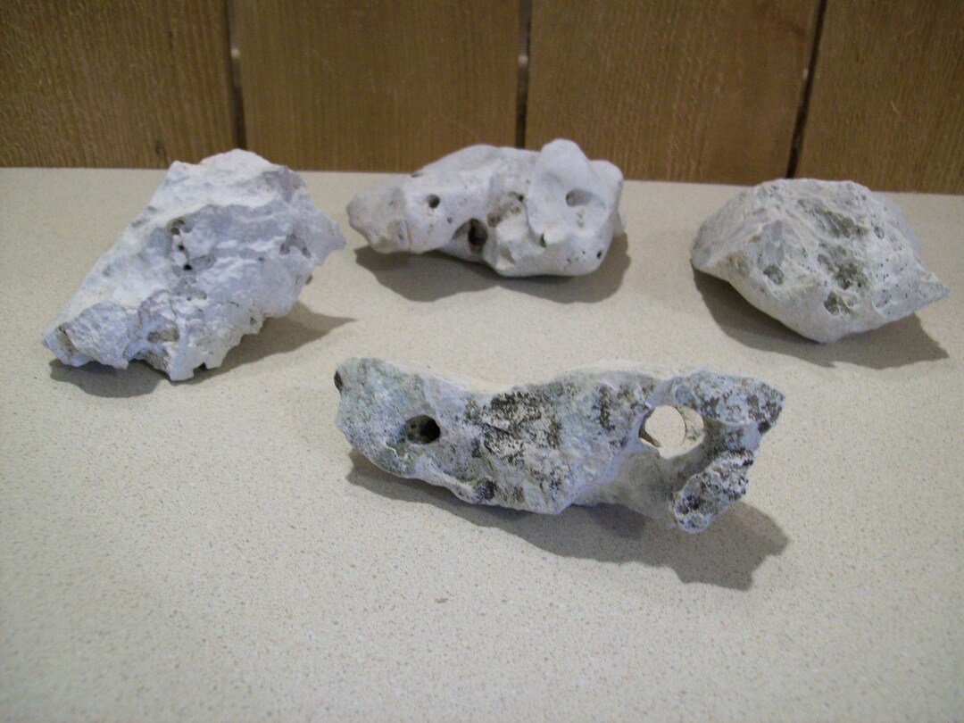 Texas Natural Limestone Holey Rocks Aquarium Terrarium Rock Long Garden ...