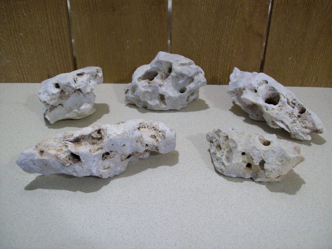 Texas Natural Limestone Holey Rocks Aquarium Terrarium Rock Long Garden ...