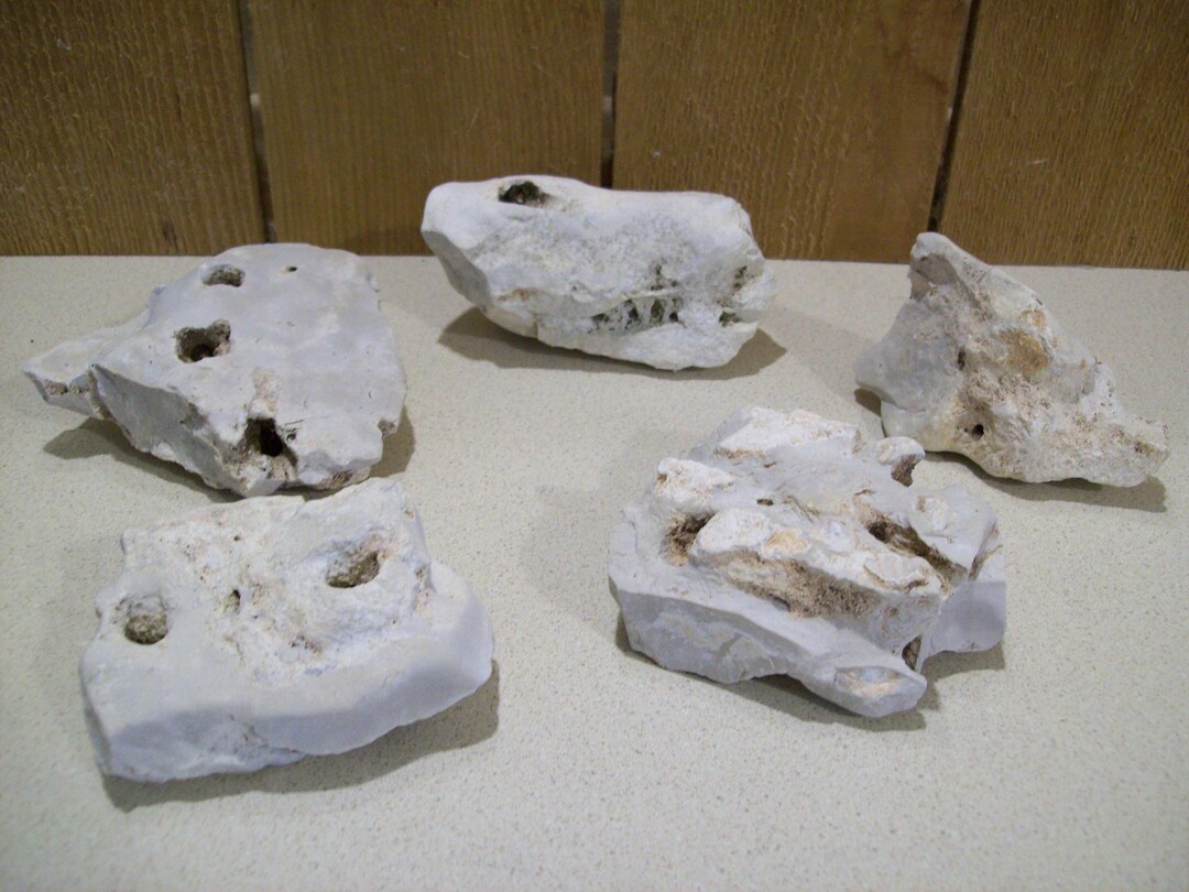 Texas Natural Limestone Holey Rocks Aquarium Terrarium Rock Long Garden ...