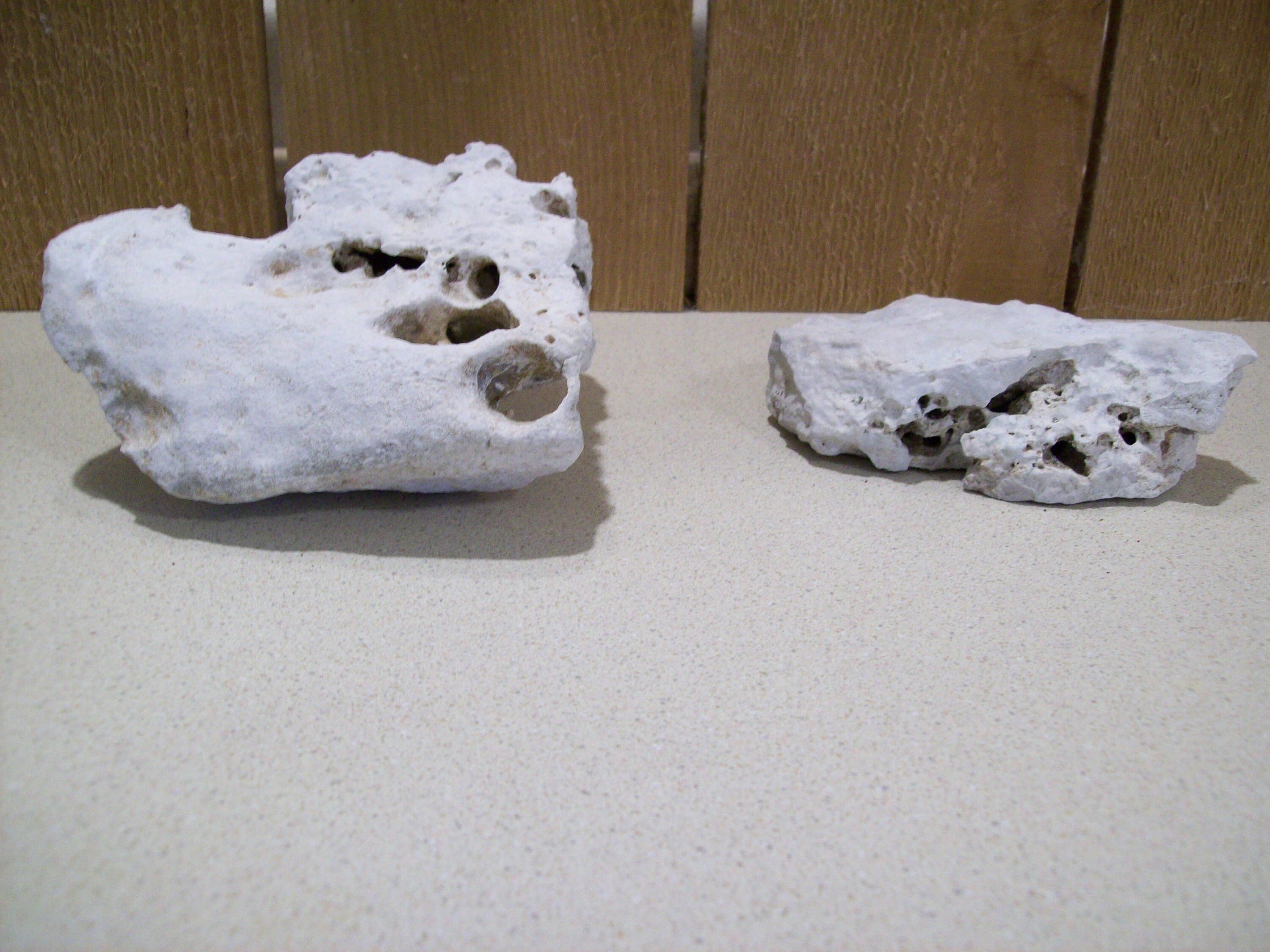 Texas Natural Limestone Holey Rocks Aquarium Terrarium Rock - Etsy