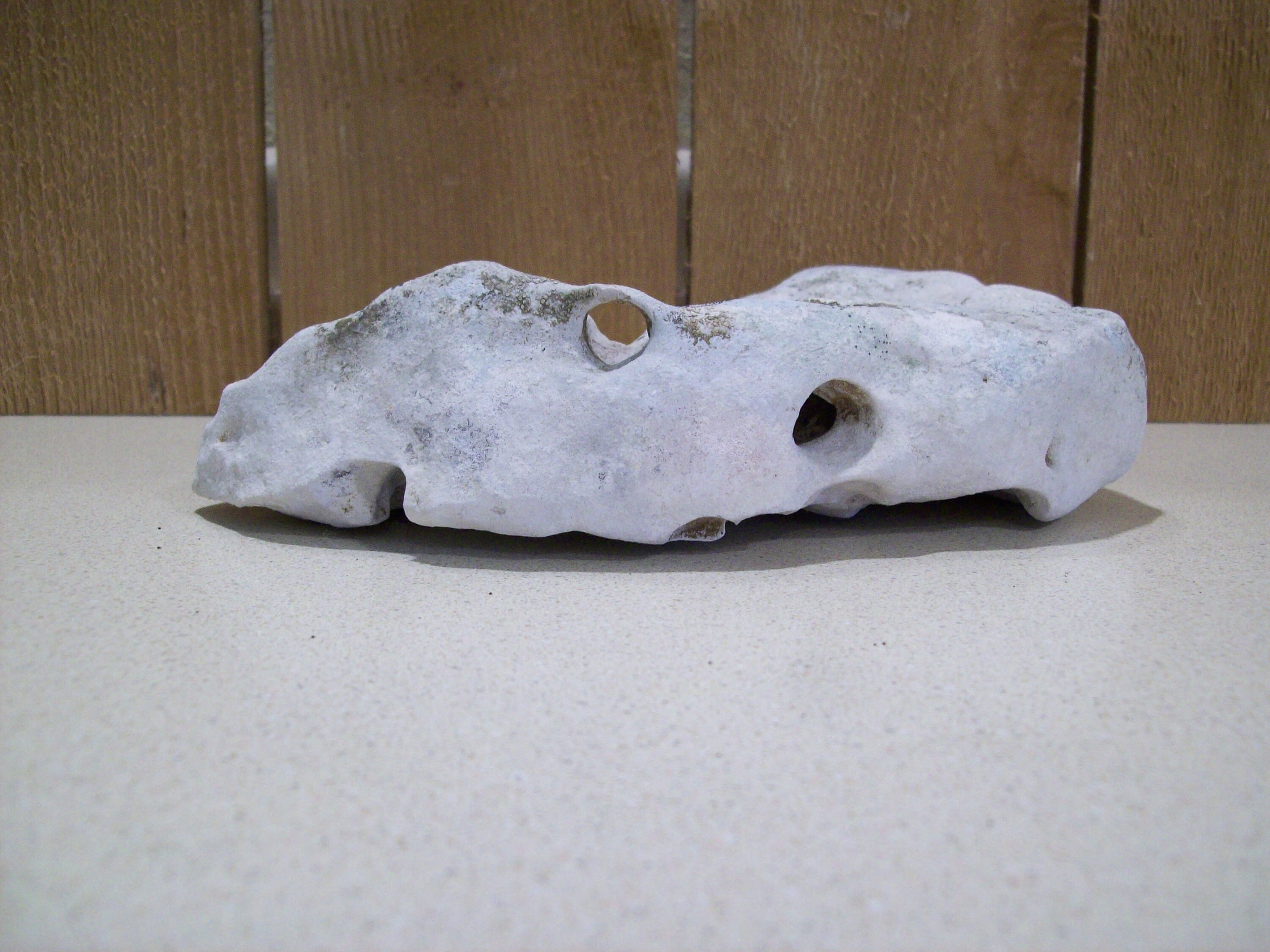 Texas Natural Limestone Holey Rocks Aquarium Terrarium Rock - Etsy