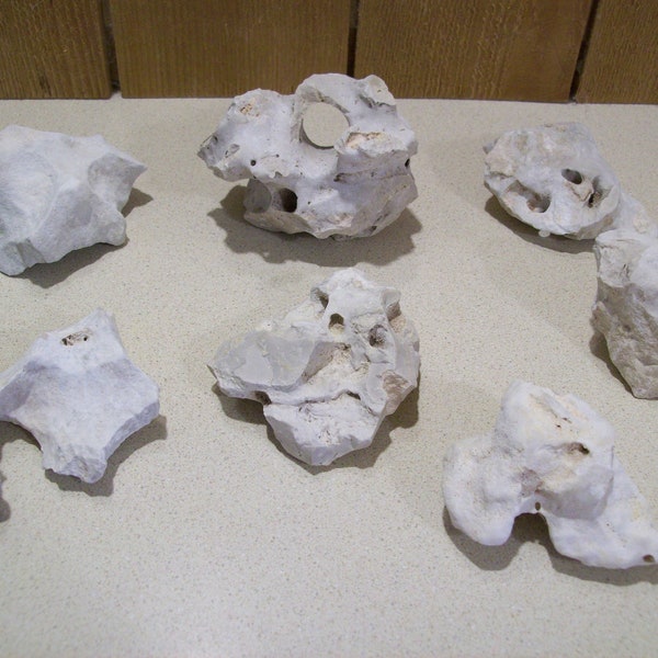 Limestone Aquarium - Etsy