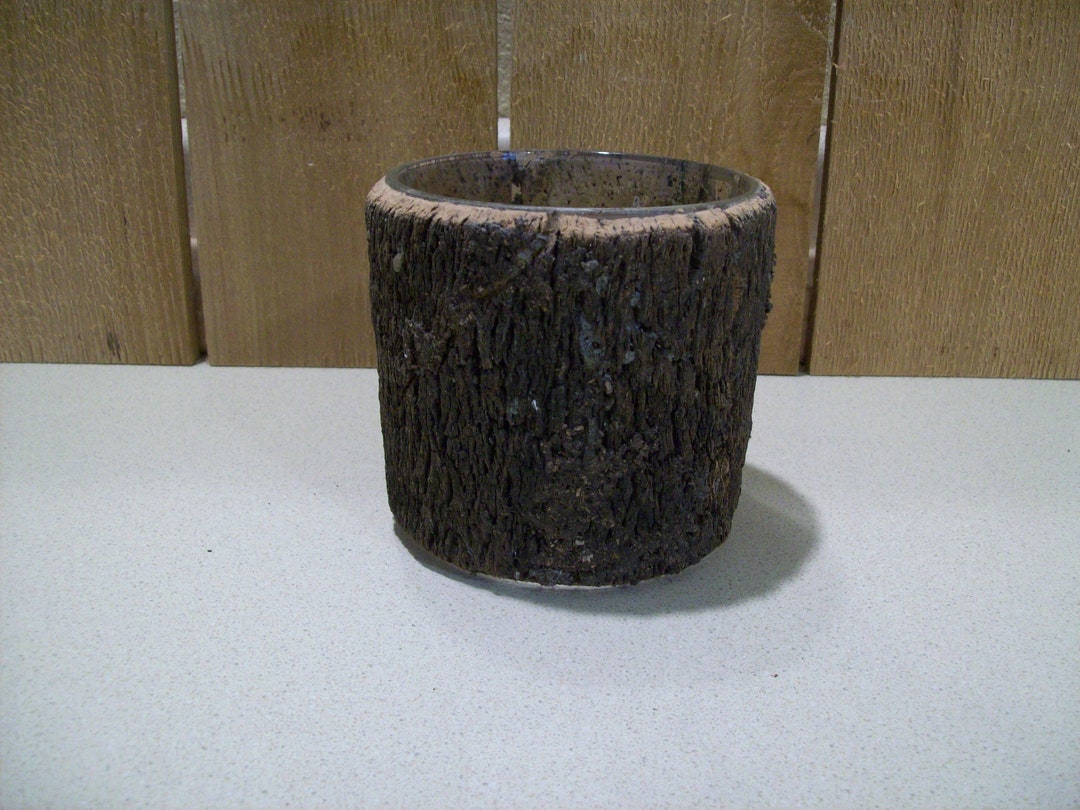 Tree Bark Planter With Glass Lining 4 1/2" Tall 5" Diameter Table Top ...