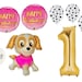 Puppy Dog in Pink Happy Birthday Party Bouquet of Balloons With Your ...