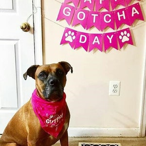 Happy Gotcha Day Bunting Banner Sign Dog Cat Rescue Birthday Day ...