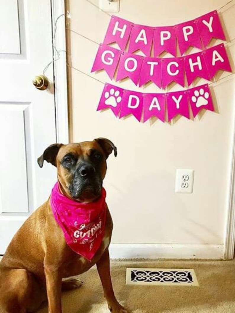 Happy Gotcha Day Bunting Banner Sign Dog Cat Rescue Birthday | Etsy