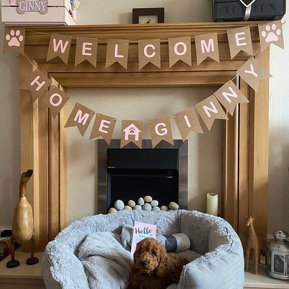 How Do You Welcome A Puppy At Home