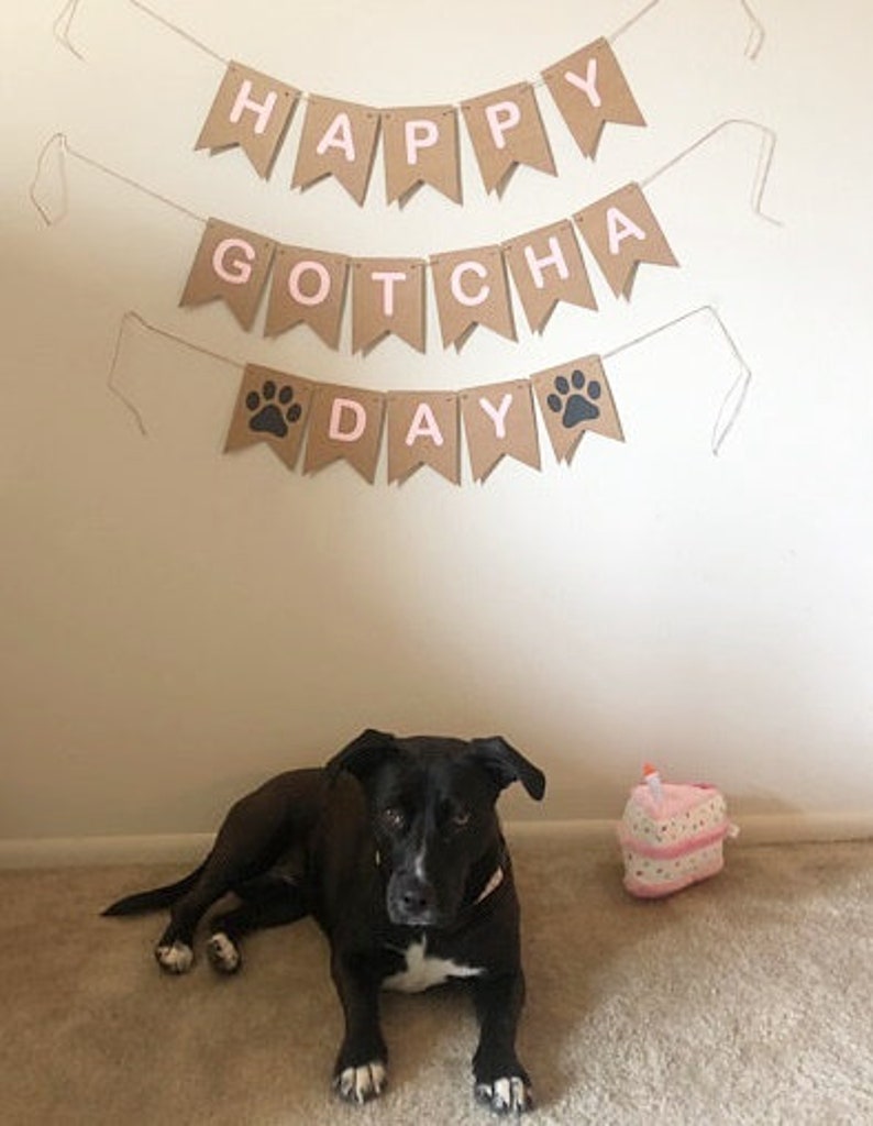 Happy Gotcha Day Bunting Banner Sign Dog Cat Rescue Birthday | Etsy