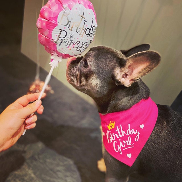 ANY COLOUR Birthday Girl Pink Dog Cat Bandana Princess Crown | Etsy UK