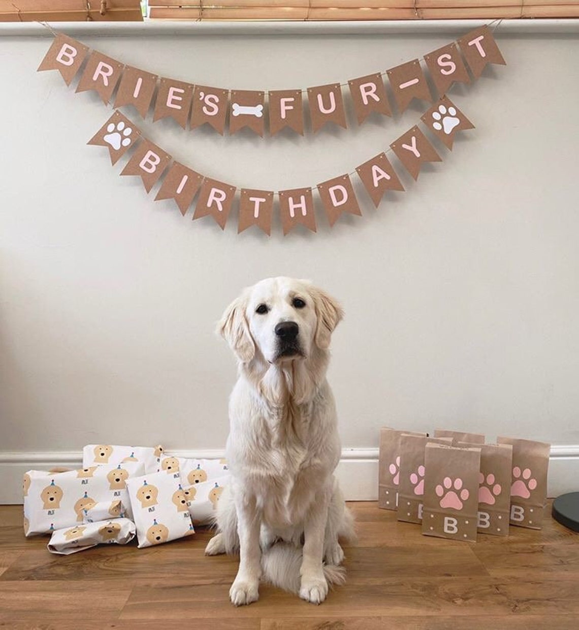 1st FIRST Dog Birthday Personalised Personalized Custom - Etsy