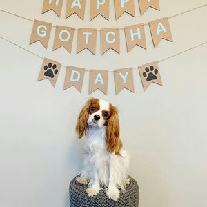 Happy Gotcha Day Bunting Banner Sign Dog Cat Rescue Birthday Day ...
