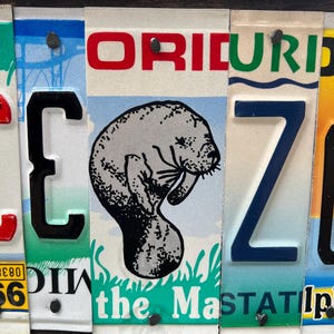 Manatee Sign Art, License Plate Sign Gift, Florida Springs, Colorful ...