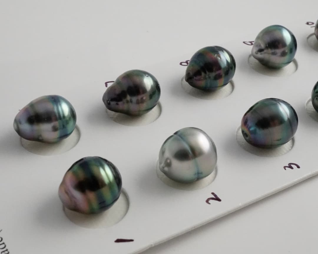 10mm Peacock Circle Tahitian Pearl, One Pearl, Loose Tahitian Pearl ...