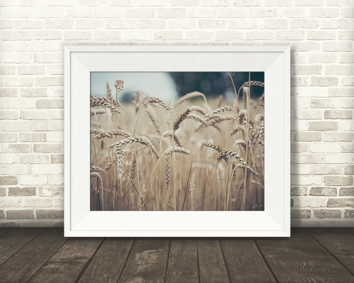 Wheat Photograph Fine Art Print Color Photography Wall - Etsy