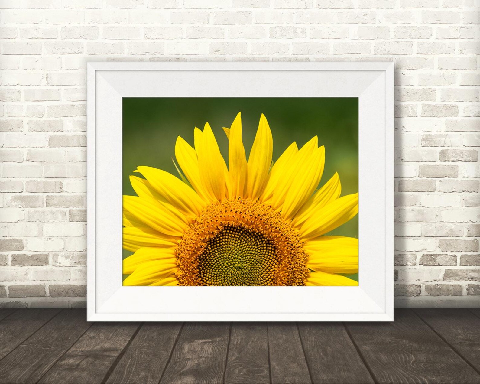 Yellow Sunflower Photograph - Fine Art Print - Color Photography - Fall ...