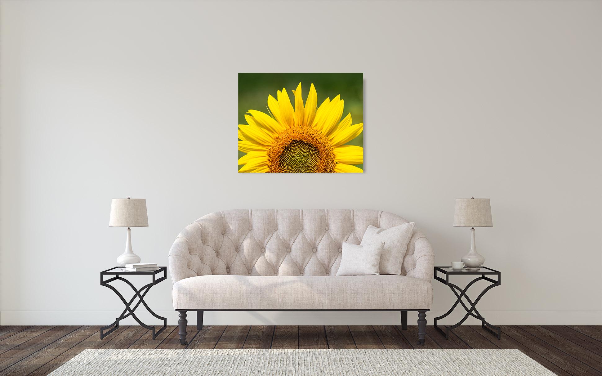 Yellow Sunflower Photograph - Fine Art Print - Color Photography - Fall ...