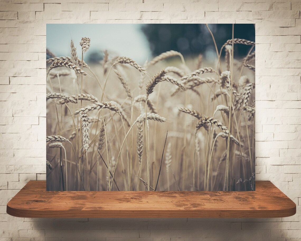 Wheat Photograph Fine Art Print Color Photography Wall - Etsy