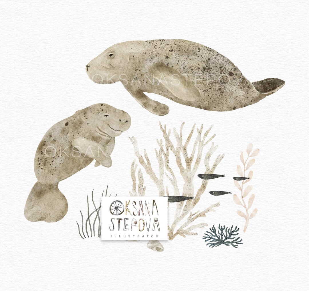 Manatees Kids Clipart PNG | Watercolor Hand-painted Illustration | Cute ...