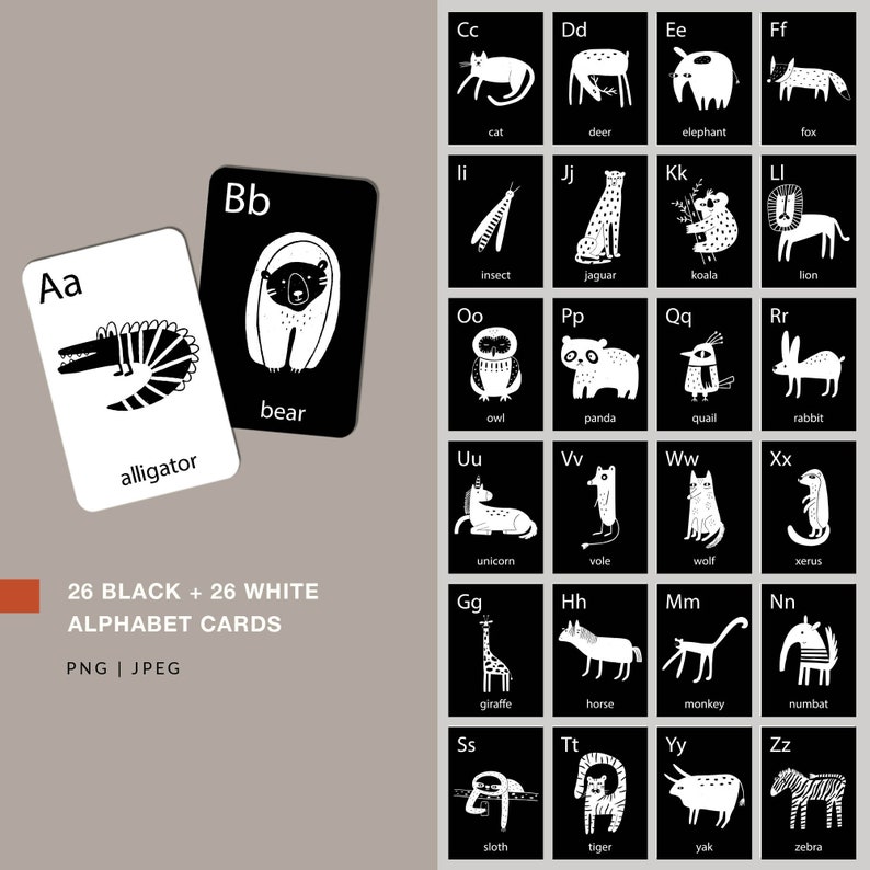 ABC Cards for Kids Alphabet Flashcards PNG Preschool Printables Animal ...
