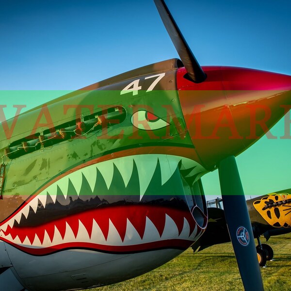 P51 Mustang Nose Art - Etsy