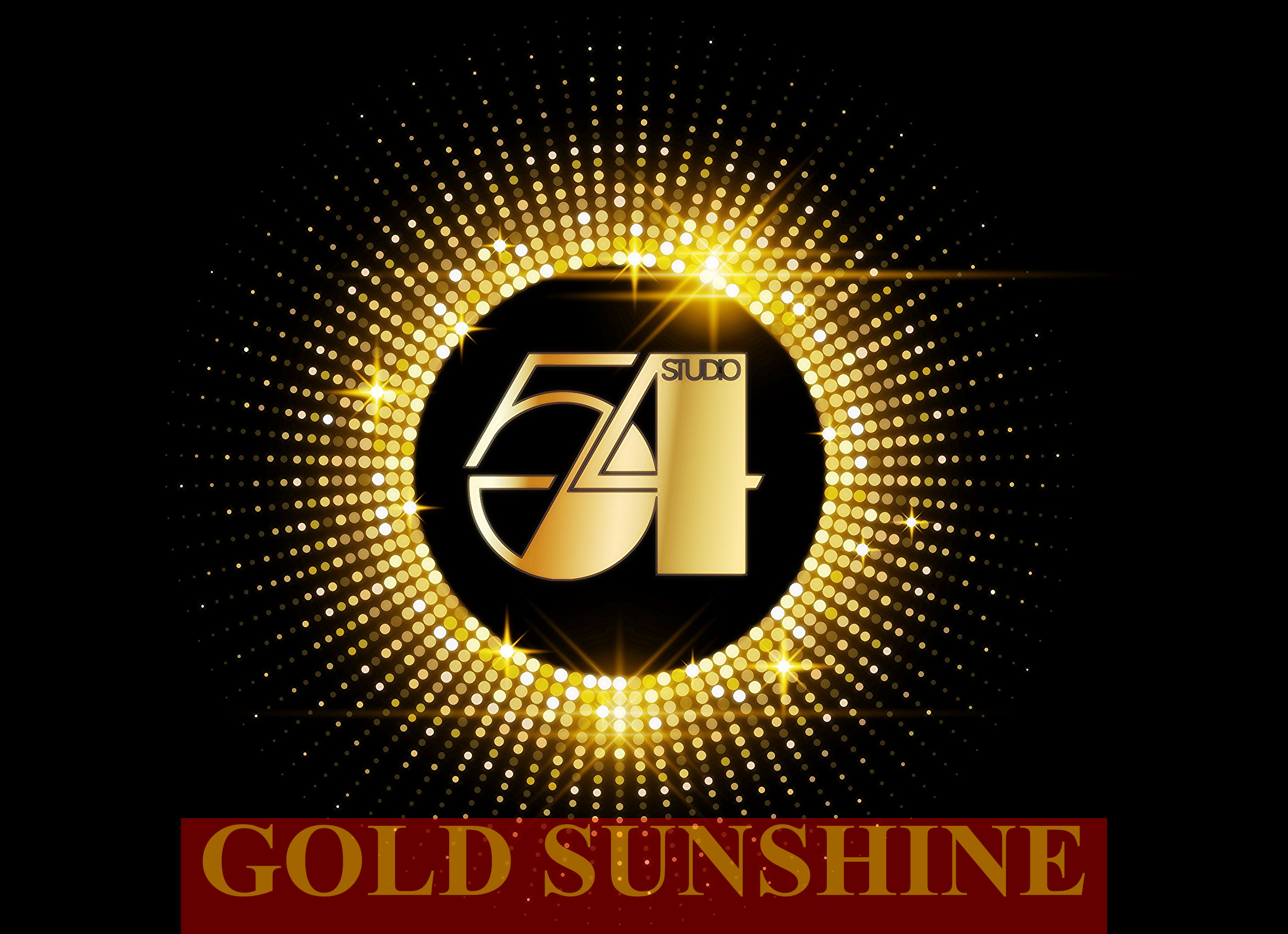 Studio 54 Disco Ball