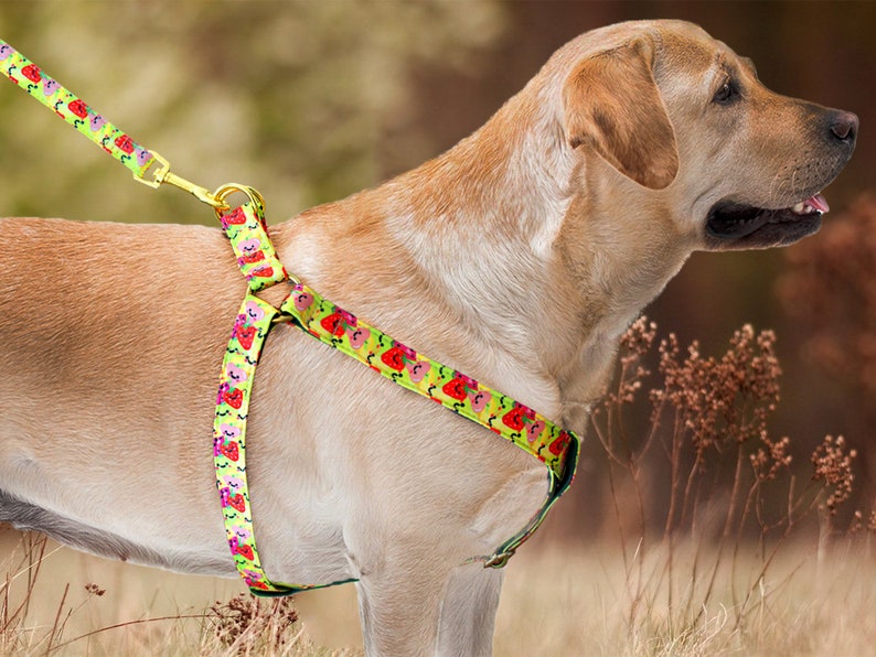 Personalized Dog Harness Pattern Dog Harness Leather Custom - Etsy