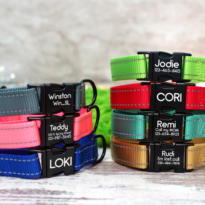 Small Dog Collar - Etsy