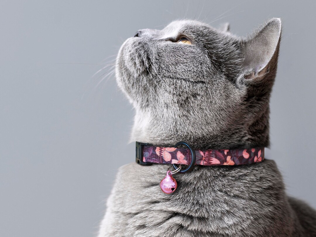 Custom Cat Collar With Name ID Tag, Floral Design Cat Collars ...