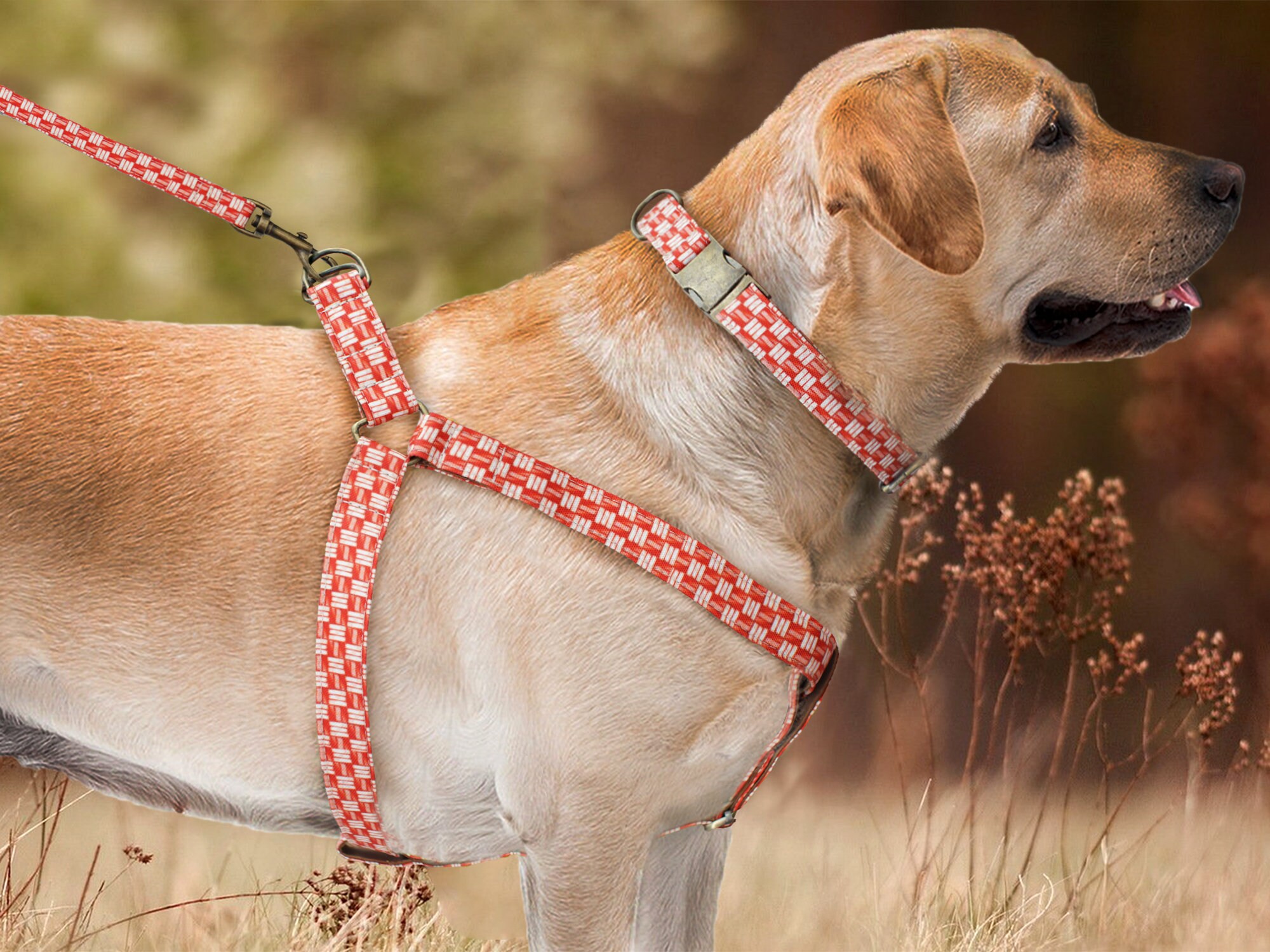 Personalized Dog Harness Leather Dog Harness and Leash Set - Etsy