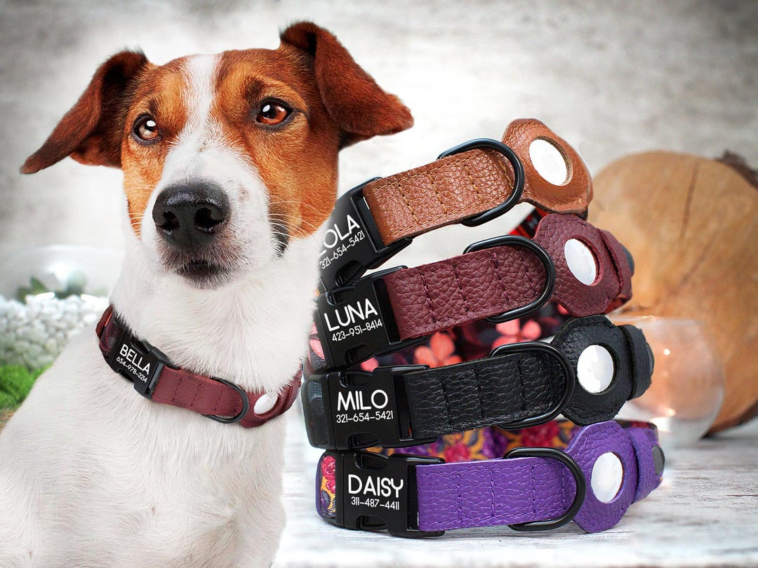Personalized AirTag Dog Collar - 8 Patterns Available, Leather Dog ...