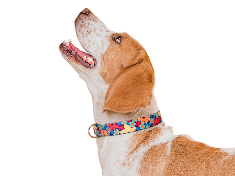 Custom Dog Collar With Floral Prints, Personalized Dog Collars, Cute ...