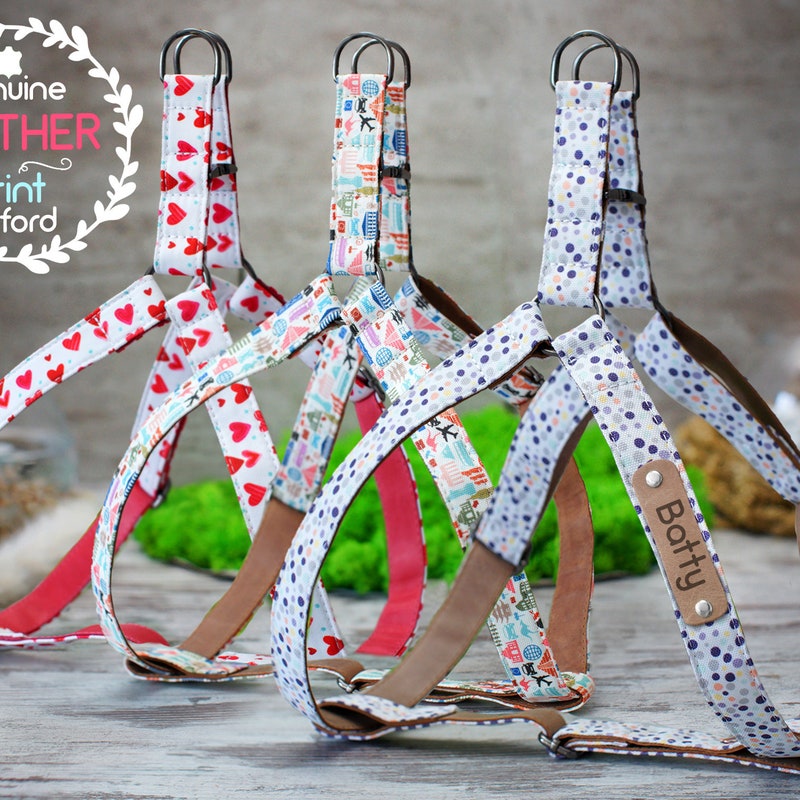 Wedding Dog Harness - Etsy