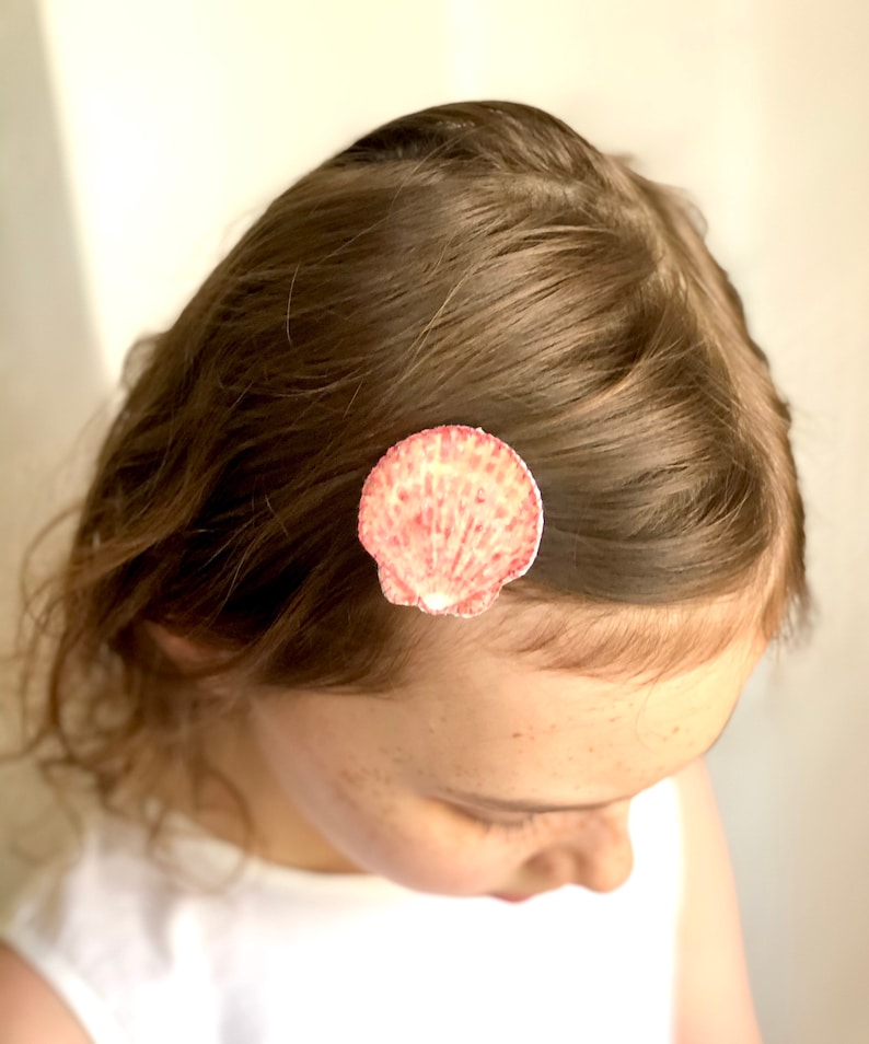 Pink Scallop Shell Snap Clip Seashell Hair Clip Beach | Etsy