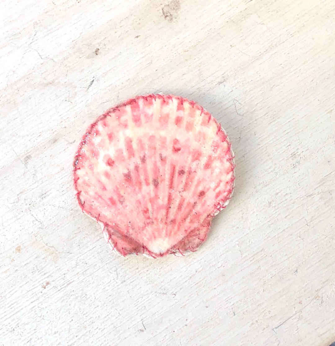 Pink Scallop Shell Snap Clip, Seashell Hair Clip, Beach Barrette, Beach ...